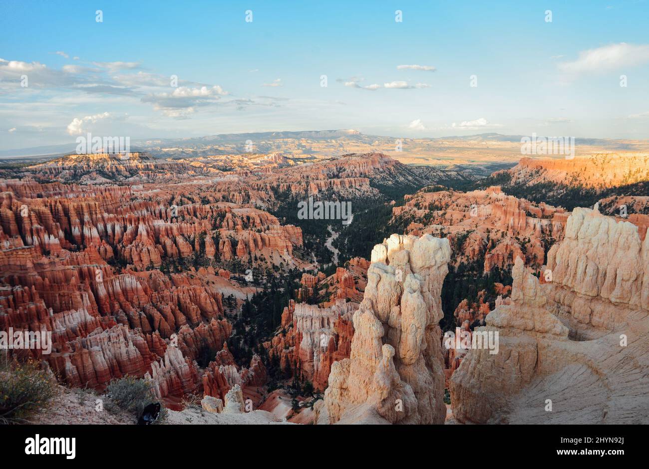 High angle of the Bryce Canyon, Utah partly covered with green forests ...