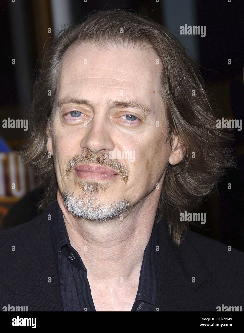 Steve Buscemi attends 'I Now Pronounce You Chuck & Larry' World ...