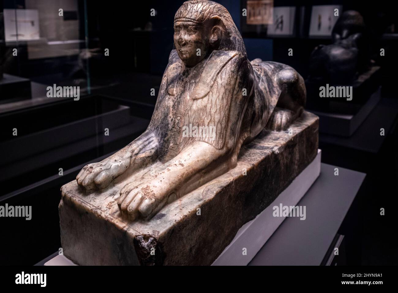 sphinx of pharaoh Amenemhat IV, Gneiss, XIII dynasty, Egypt, collection ...
