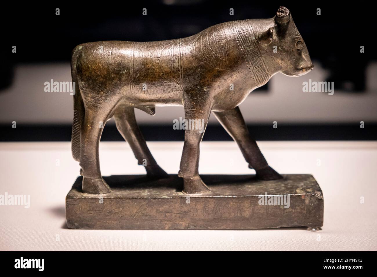 Apis bull, bronze, late period, Egypt, collection of the British Museum ...