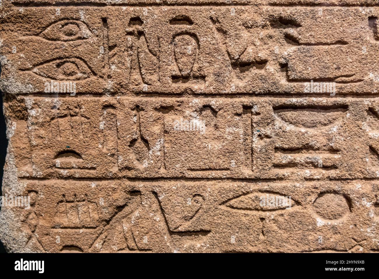 stela with the cartouches of the pharaohs Thutmose III and Hatsheput ...