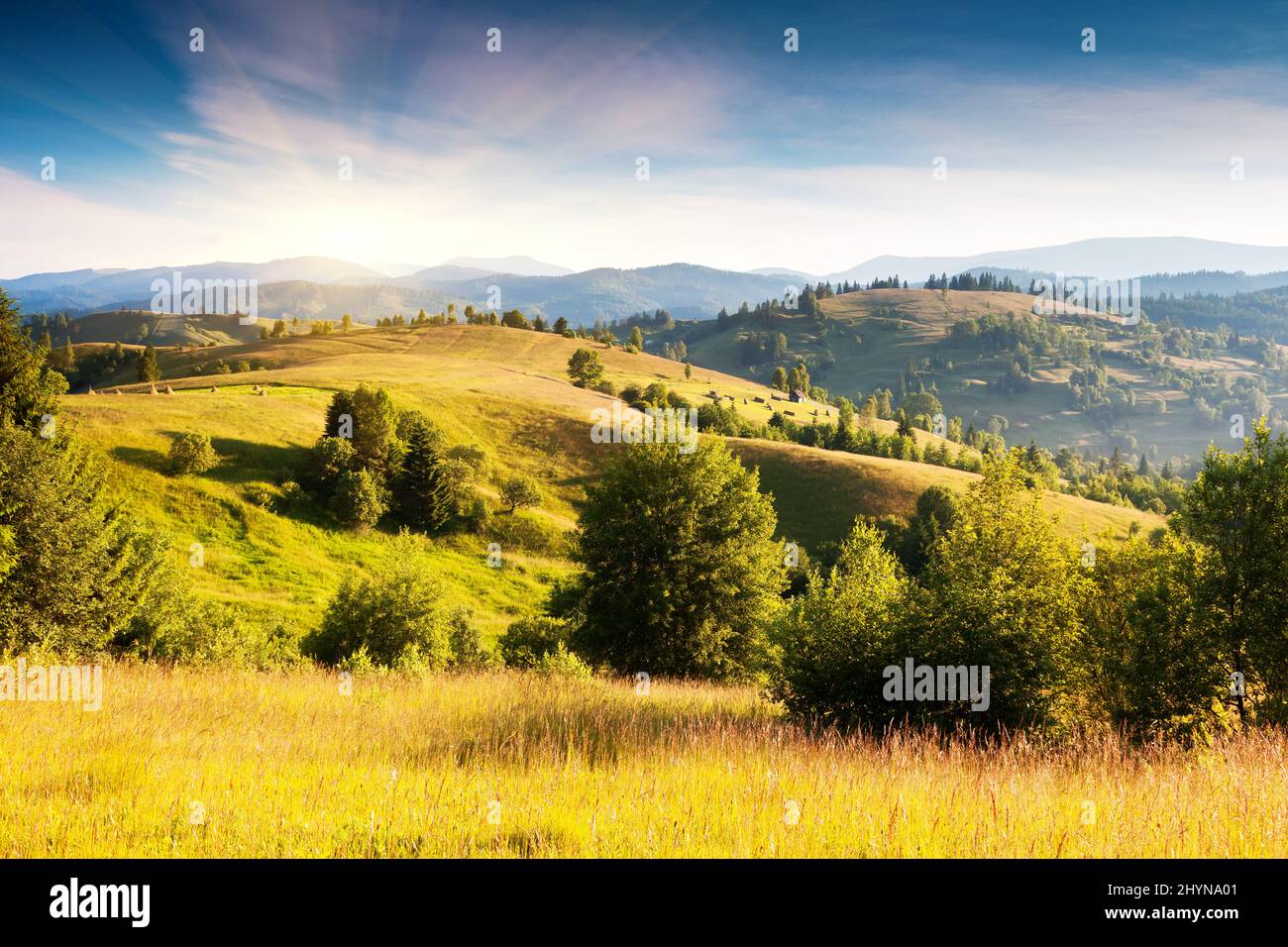 Fantastic yellow hills with summer blue sky. Carpathian, Ukraine, Europe. Beauty world Stock ...