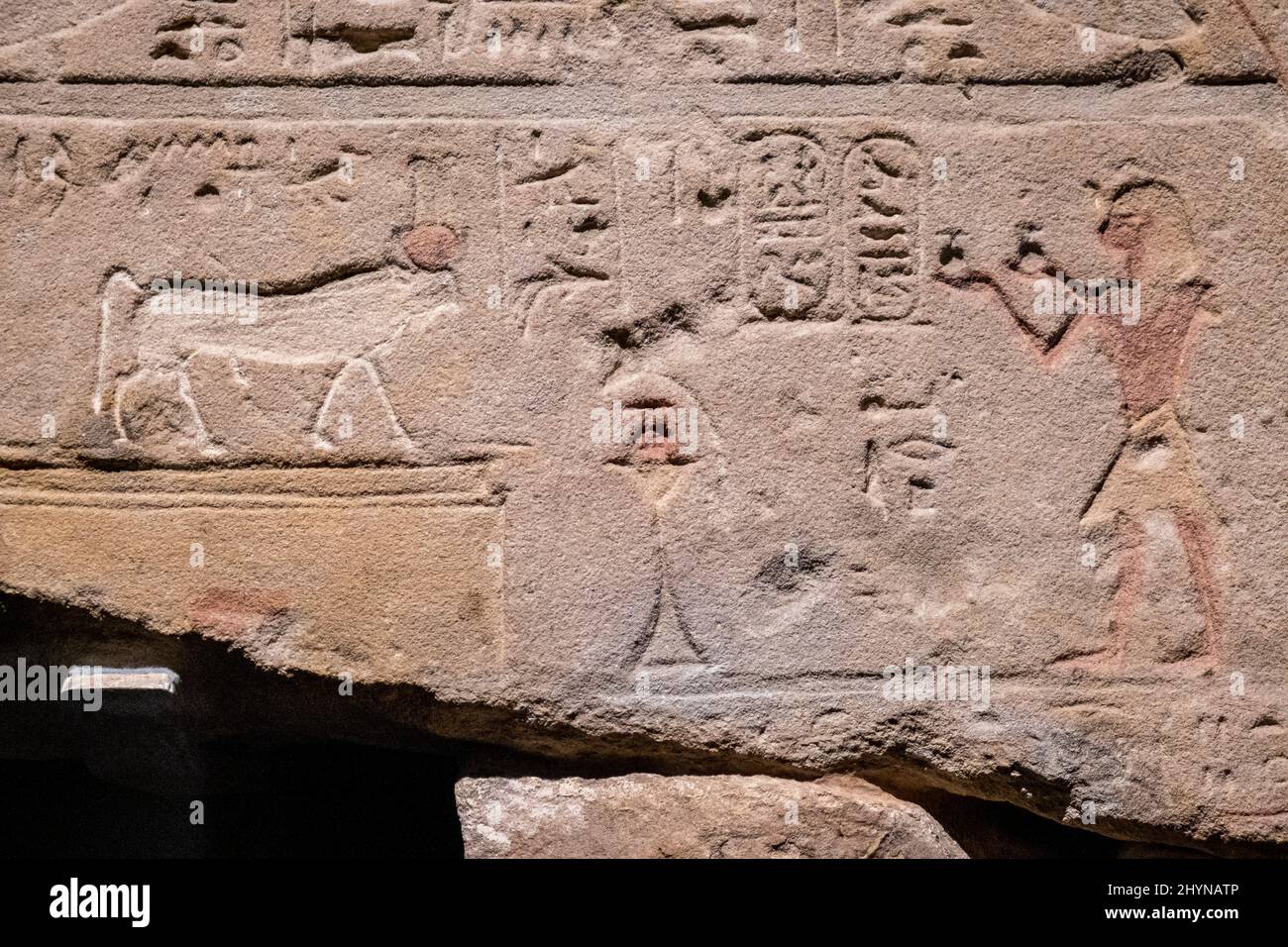 Memorial tombstone depicting Pharaoh Alexander I and Bukhis the bull ...