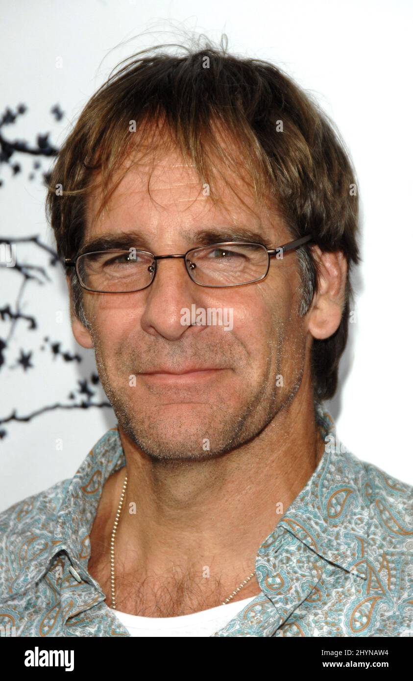 Scott Bakula attends 'The Premonition' World Premiere in Hollywood ...