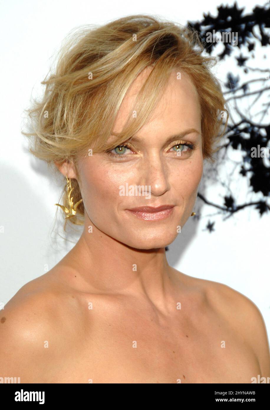 The premonition world premiere hi-res stock photography and images - Alamy