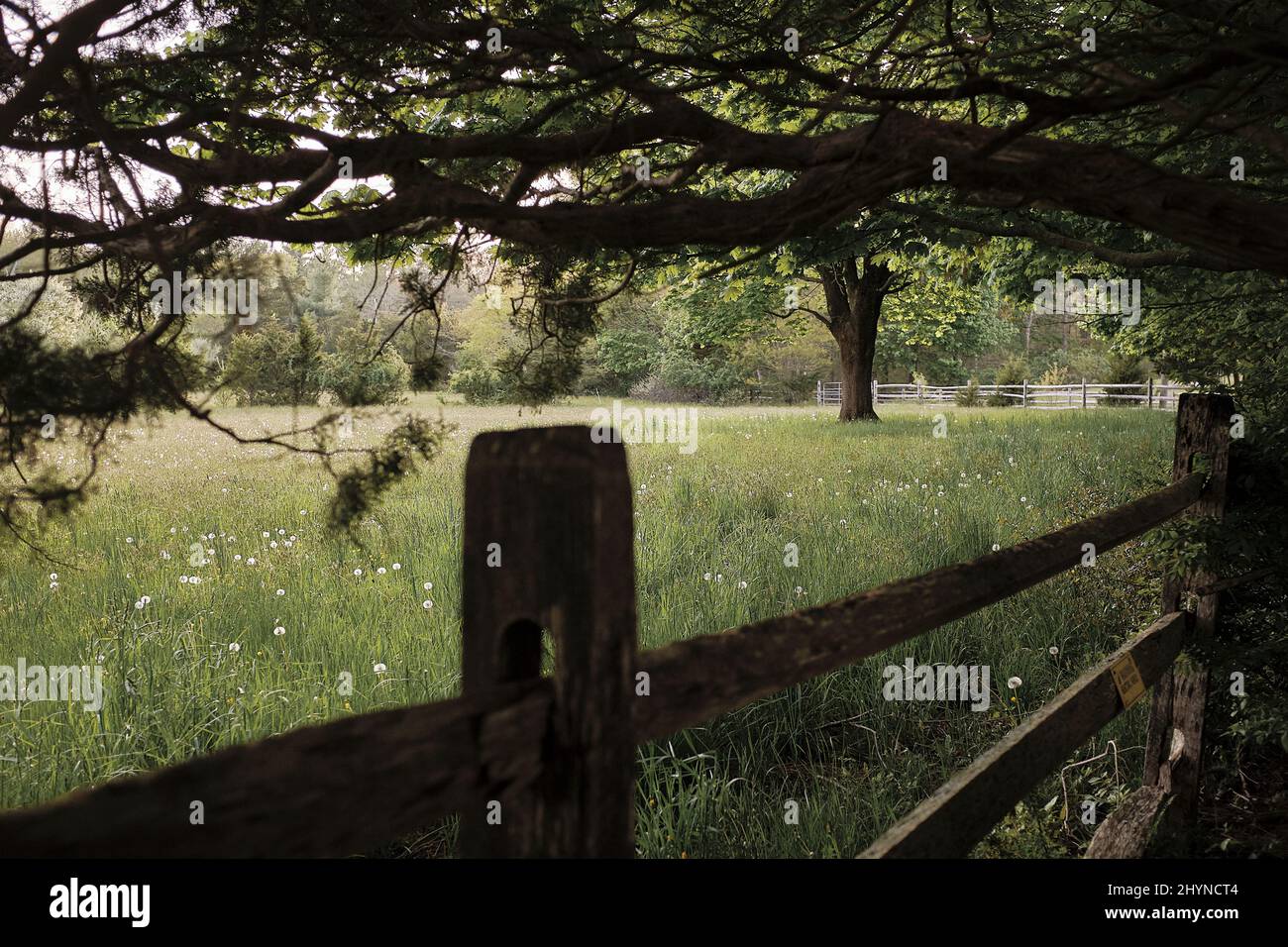 Beautiful view of fresh green grass field with a fence Stock Photo - Alamy