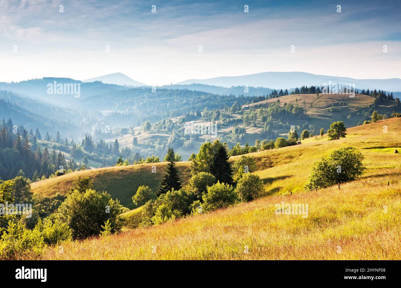 Fantastic yellow hills with summer blue sky. Carpathian, Ukraine, Europe. Beauty world Stock ...