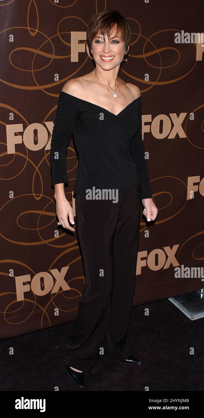 Dorothy Hamill attends the 2006 FOX Television TCA Party in Beverly ...