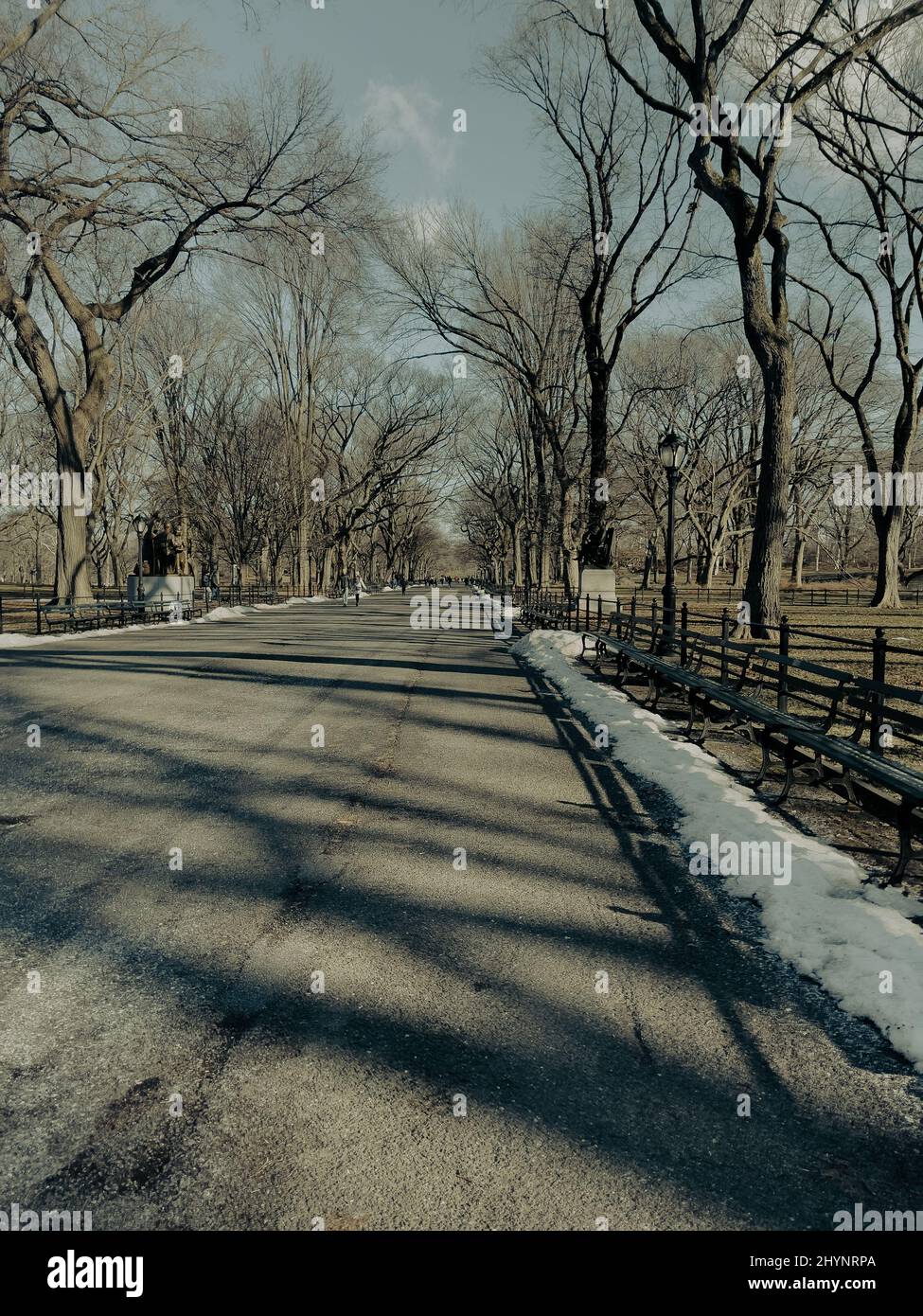 Beautiful view of a road in a park Stock Photo - Alamy