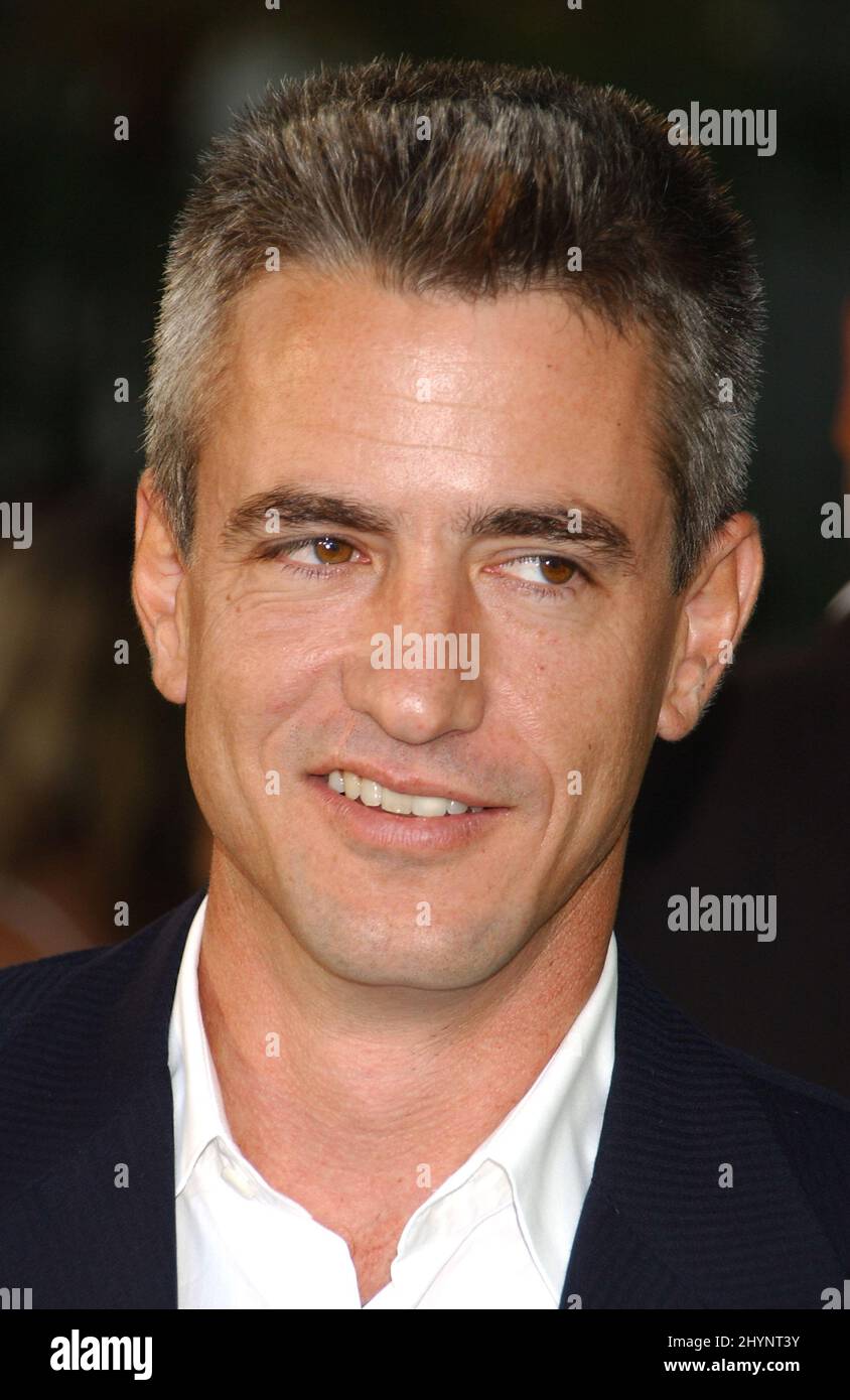 Picture of dogs hi-res stock photography and images - Alamy