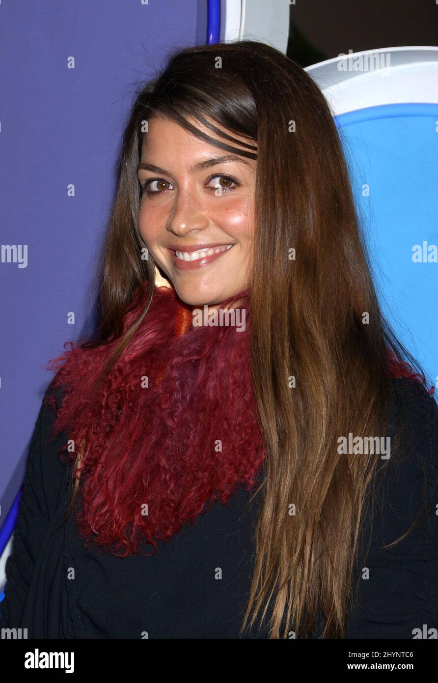 Jaclyn DeSantis attends the NBC Winter TCA Press Tour Party 2006 in ...