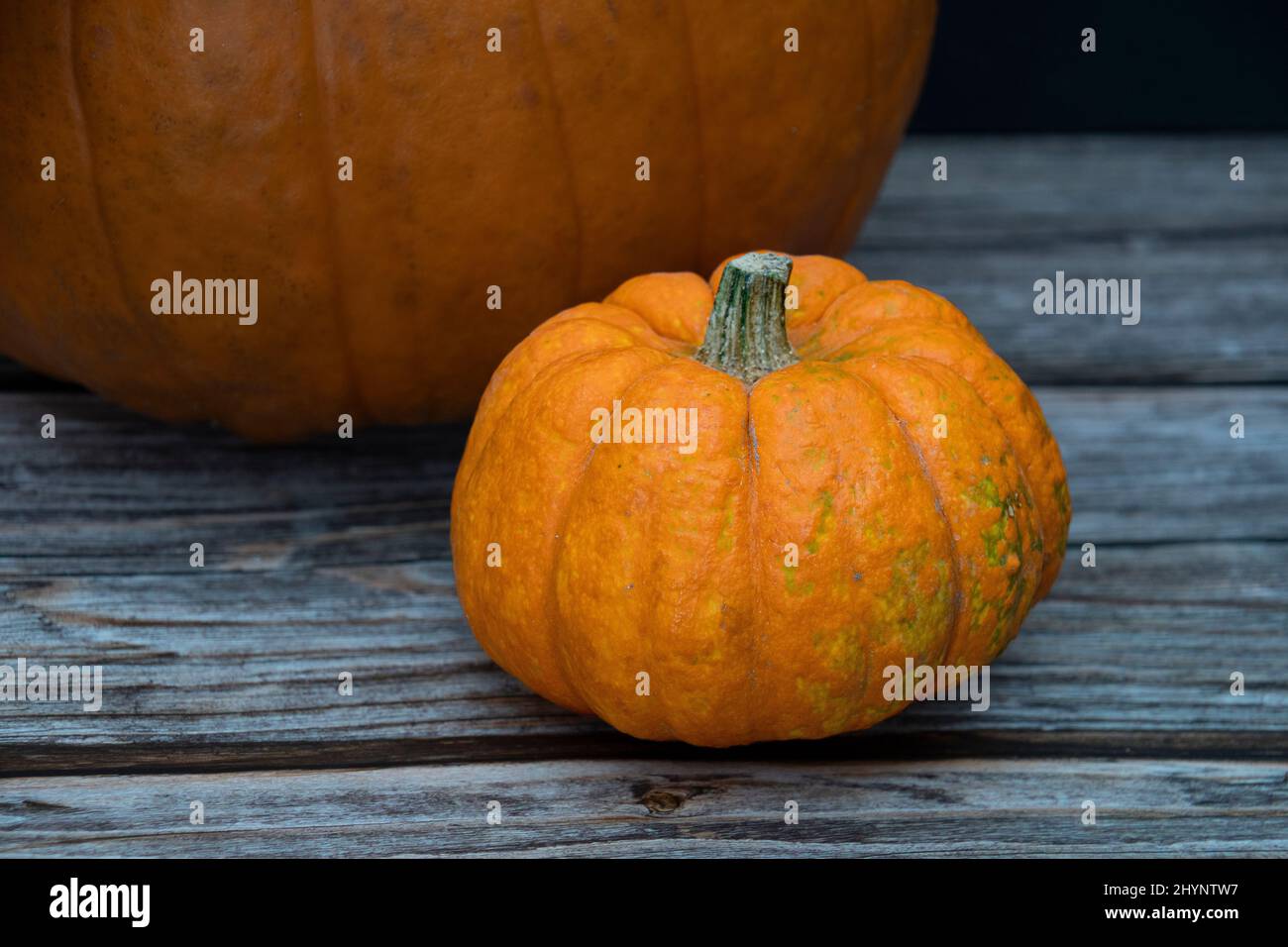 Traditional pumpkins hi-res stock photography and images - Alamy
