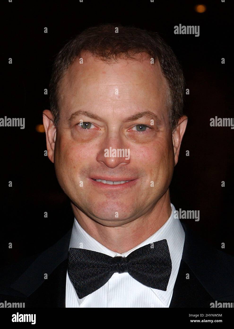 Gary Sinise attends the 17th Annual Palm Springs Film Festival Awards ...