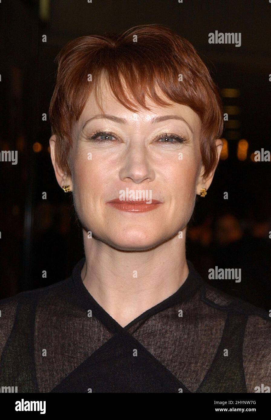 Ann Magnuson attends the 'Panic Room' US Premiere Picture: UK Press ...