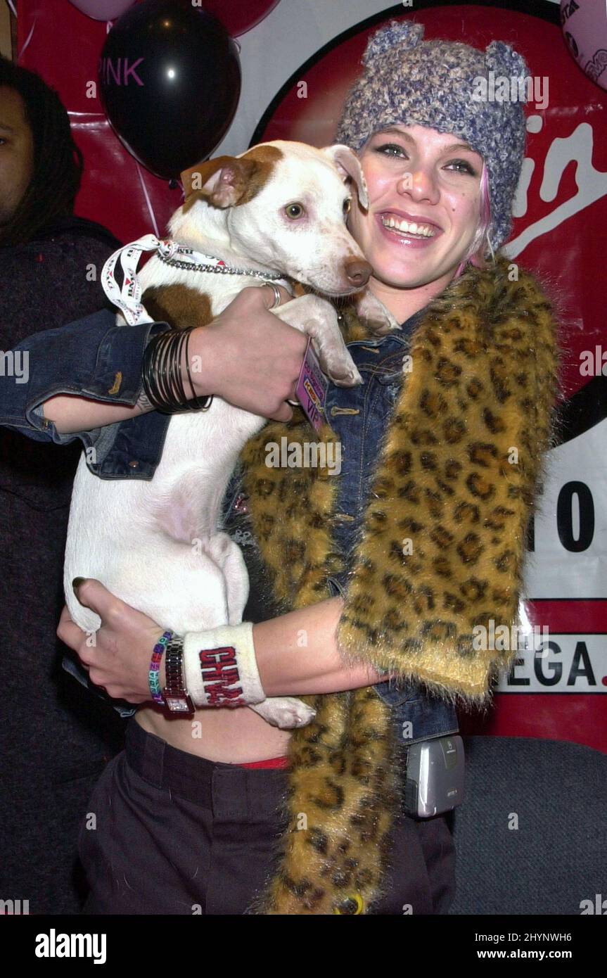Pink Signs Copies Of Her Album Missundaztood At Virgin In West Hollywood Picture Uk Press