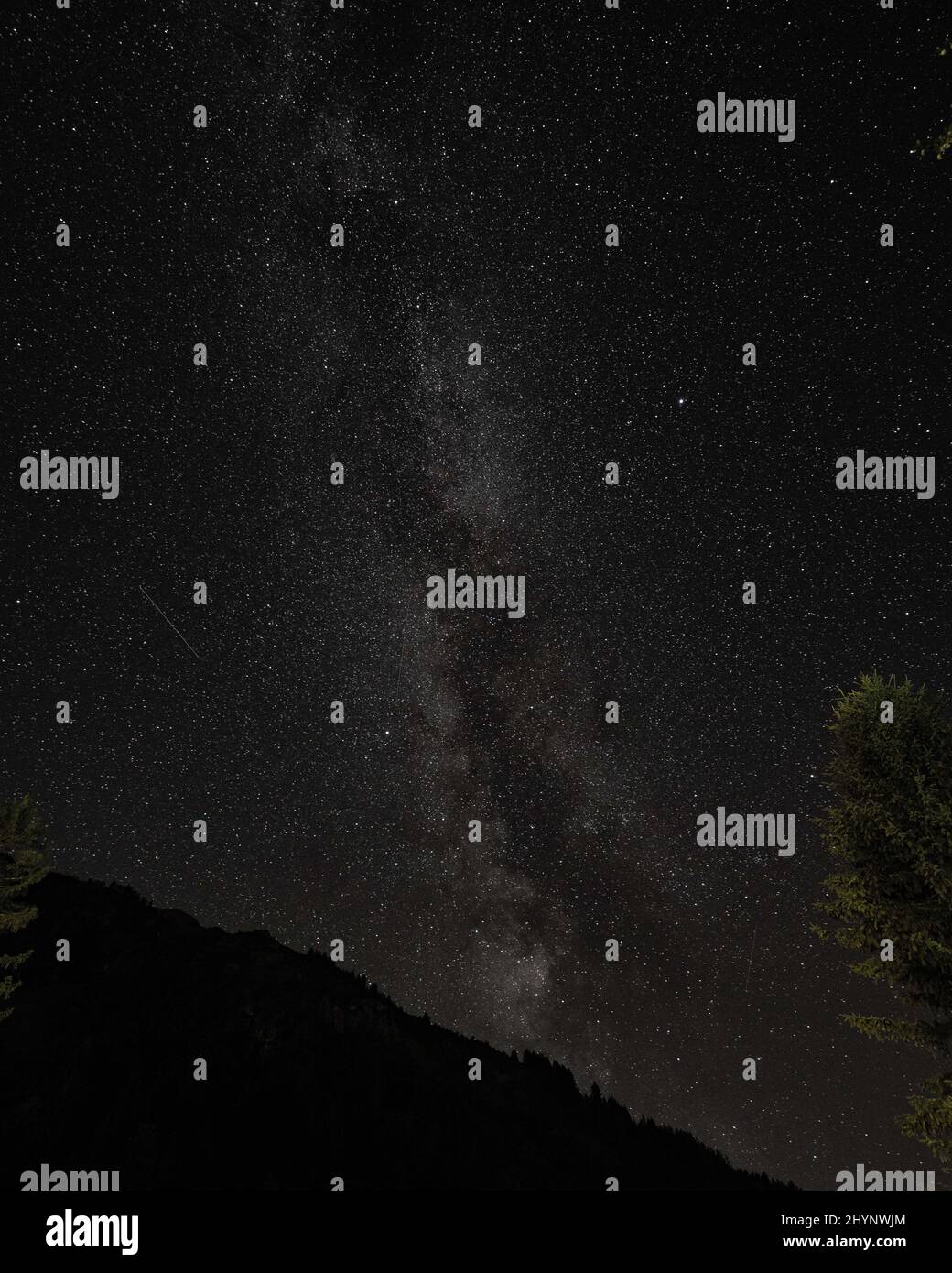 Blue starry night sky with tree branches Stock Photo - Alamy