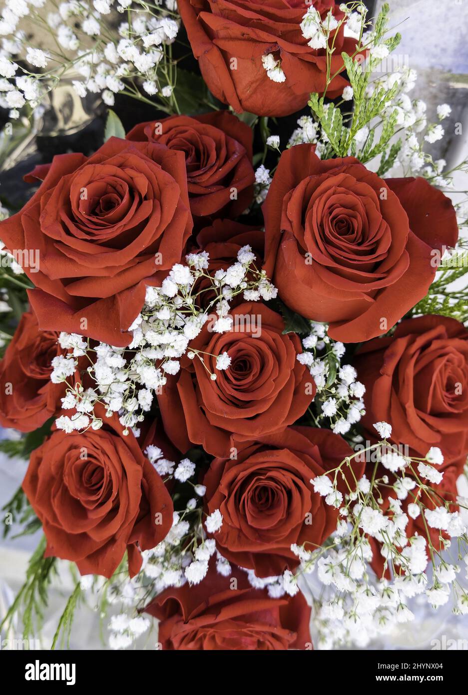 Bright red rose with petals, bouquet and celebration Stock Photo - Alamy