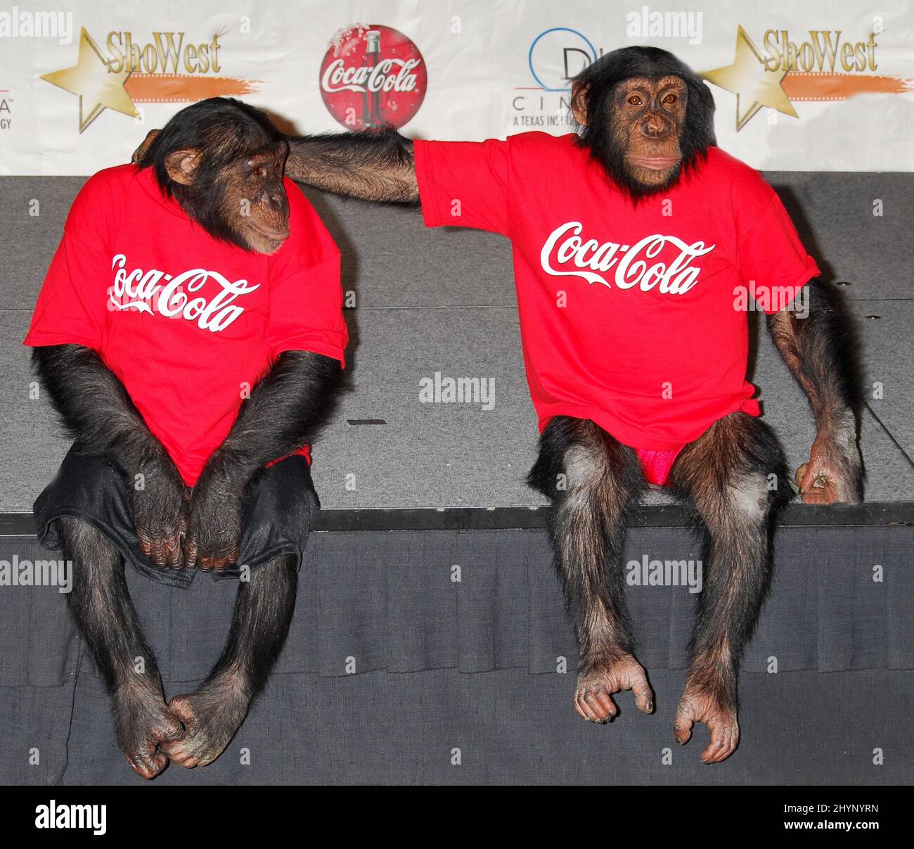 Sable & Cody attend the ShoWest Awards Ceremony 2006 in Las Vegas ...