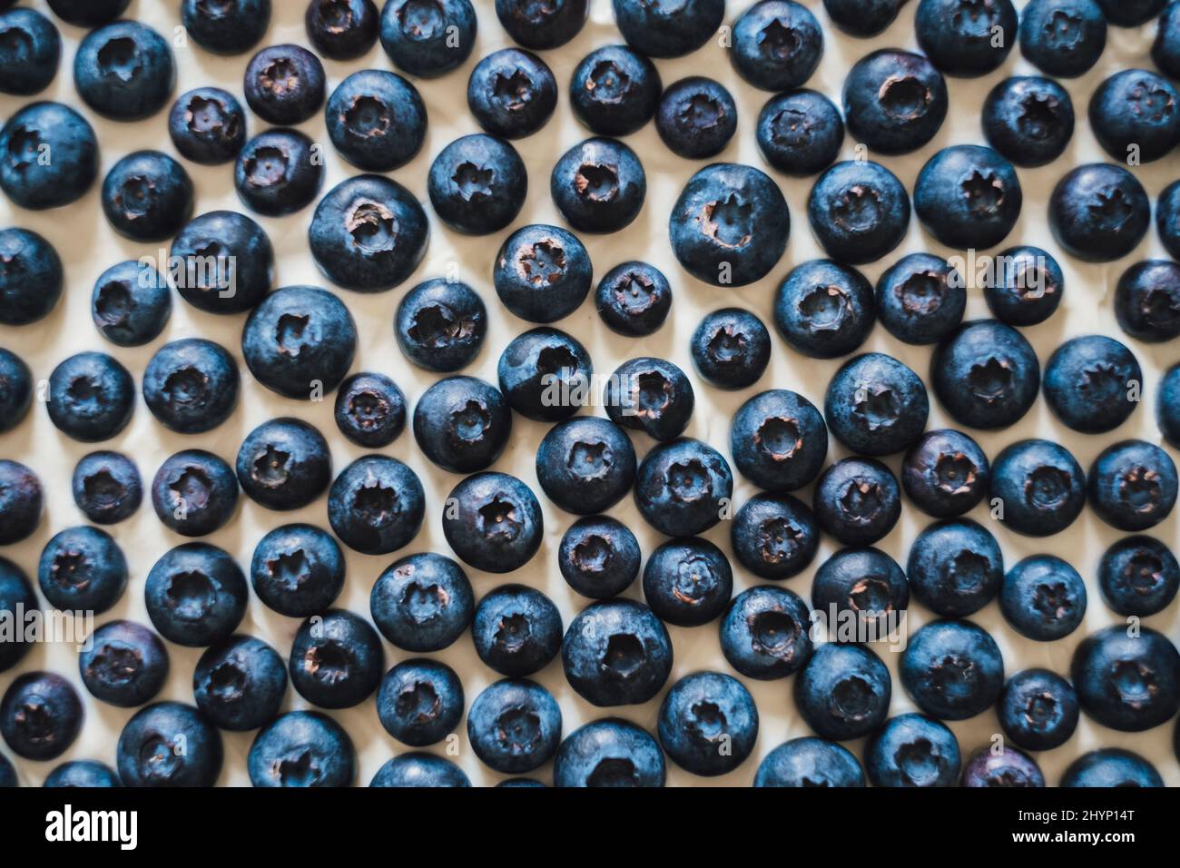 Ripe blueberries on a white table Stock Photo - Alamy