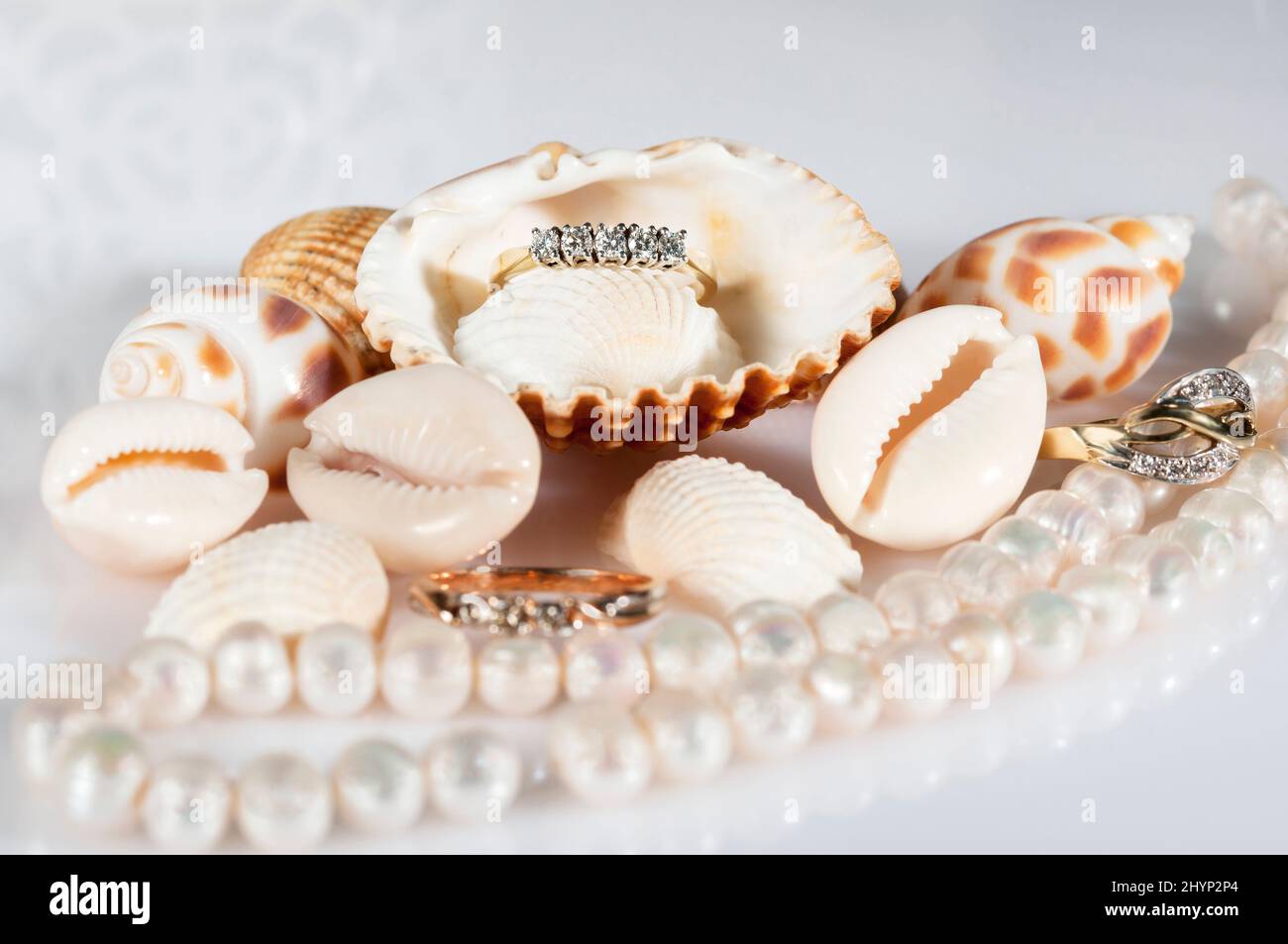 Gold jewelry among the seashells. Beautiful seashells, a string of ...
