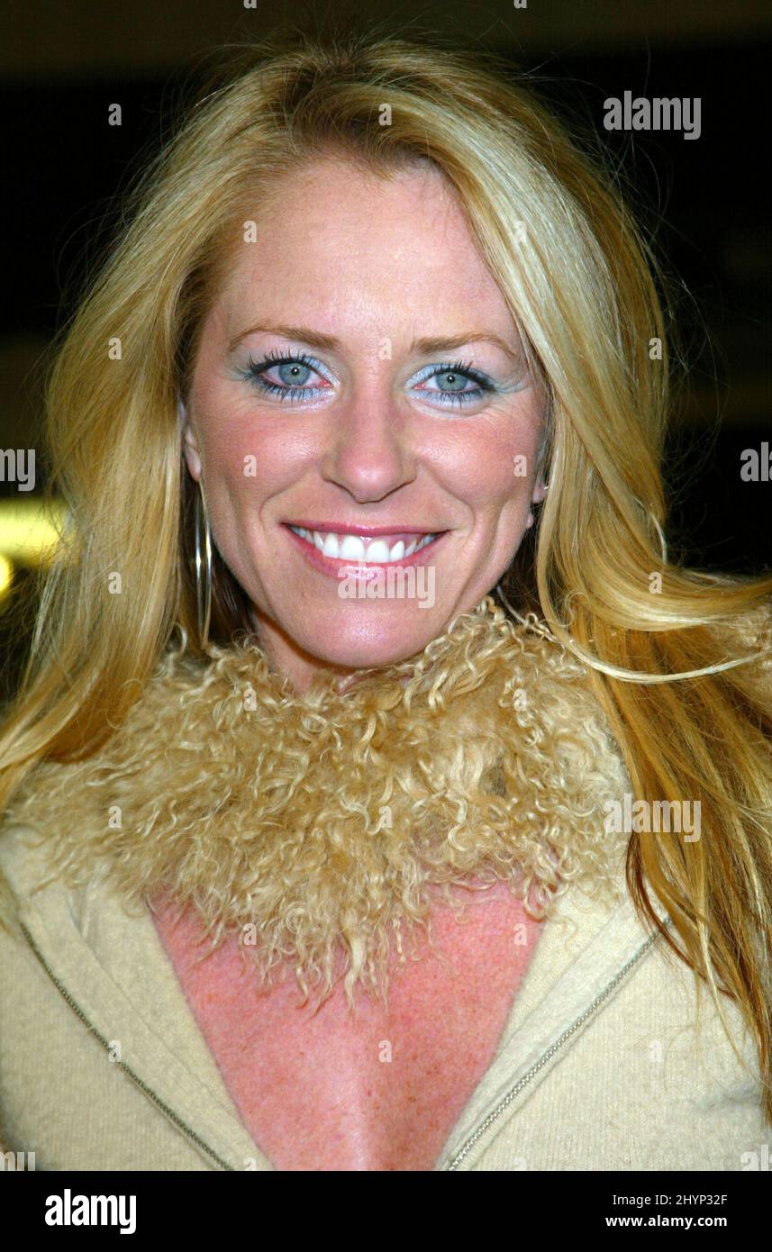 DEANA CARTER ATTENDS THE "TWO WEEKS NOTICE" PREMIERE AT THE MANN BRUIN ...