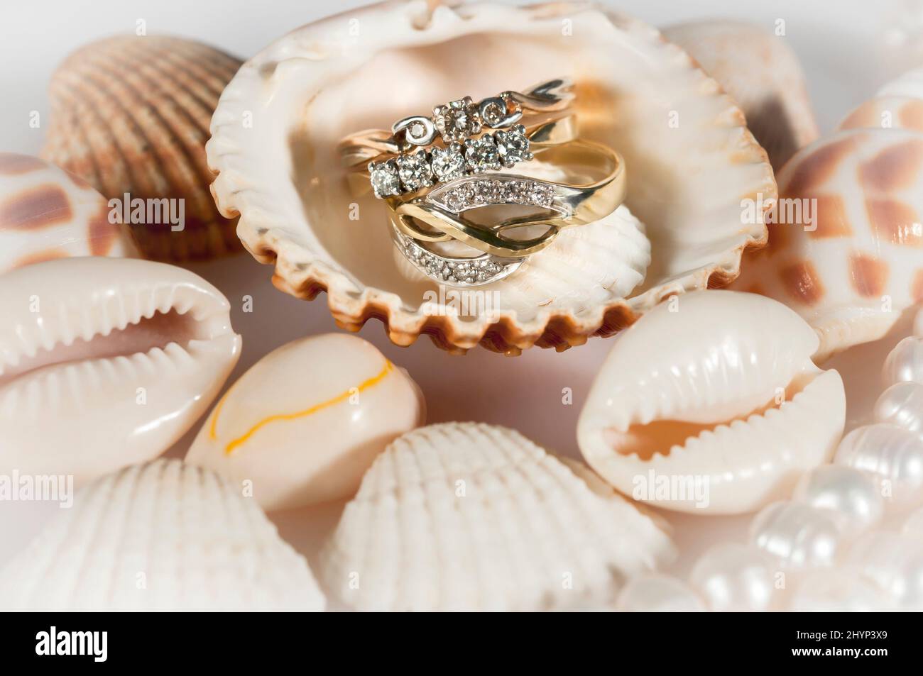 Gold jewelry among the seashells. Beautiful seashells, a string of ...