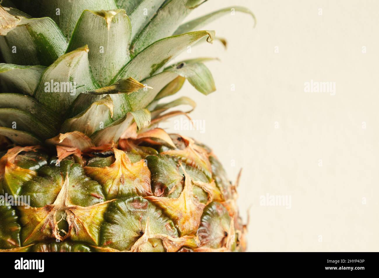 The pineapple structure hi-res stock photography and images - Alamy