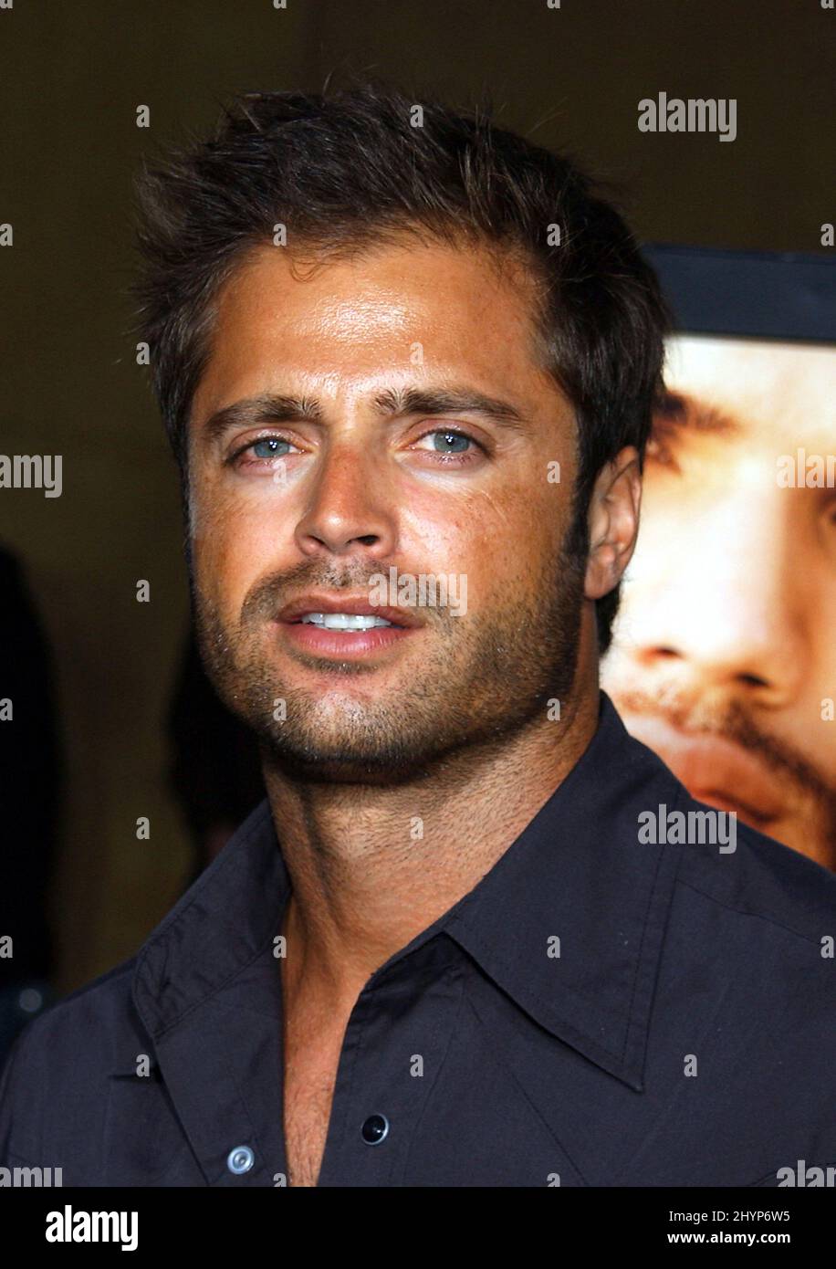 David Charvet attends the 'Undiscovered' Los Angeles Premiere at the ...
