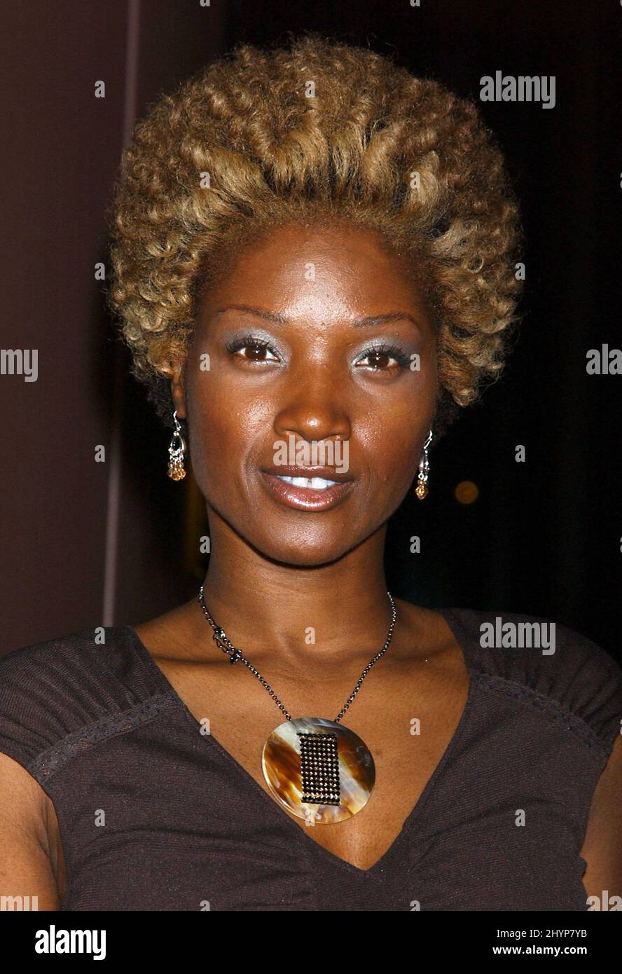 YOLONDA ROSS ATTENDS THE GOOD THIEF PREMIERE AT THE DGA THEATRE IN ...