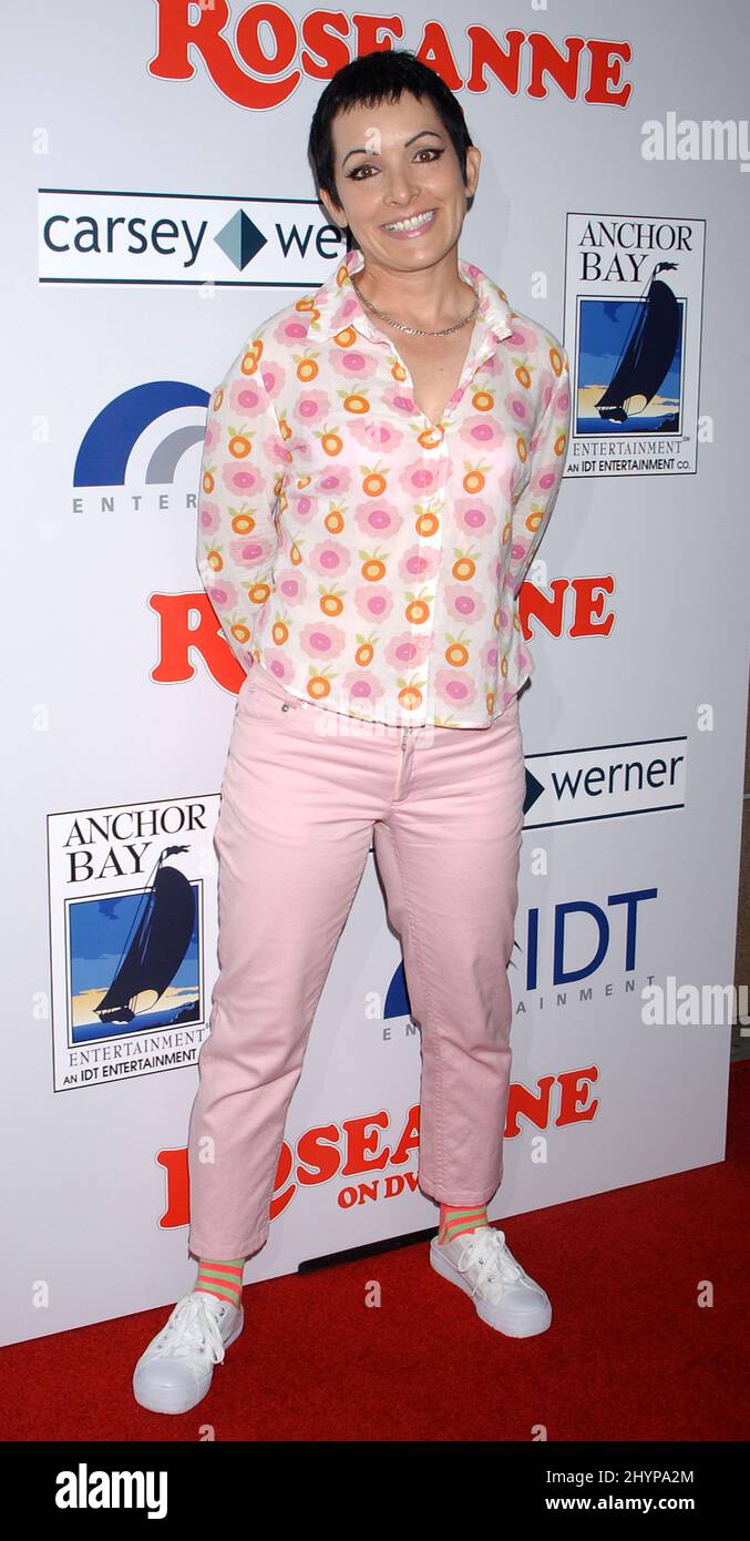 Jane Wiedlin attends the 'Roseanne' Season One DVD Launch Party in ...
