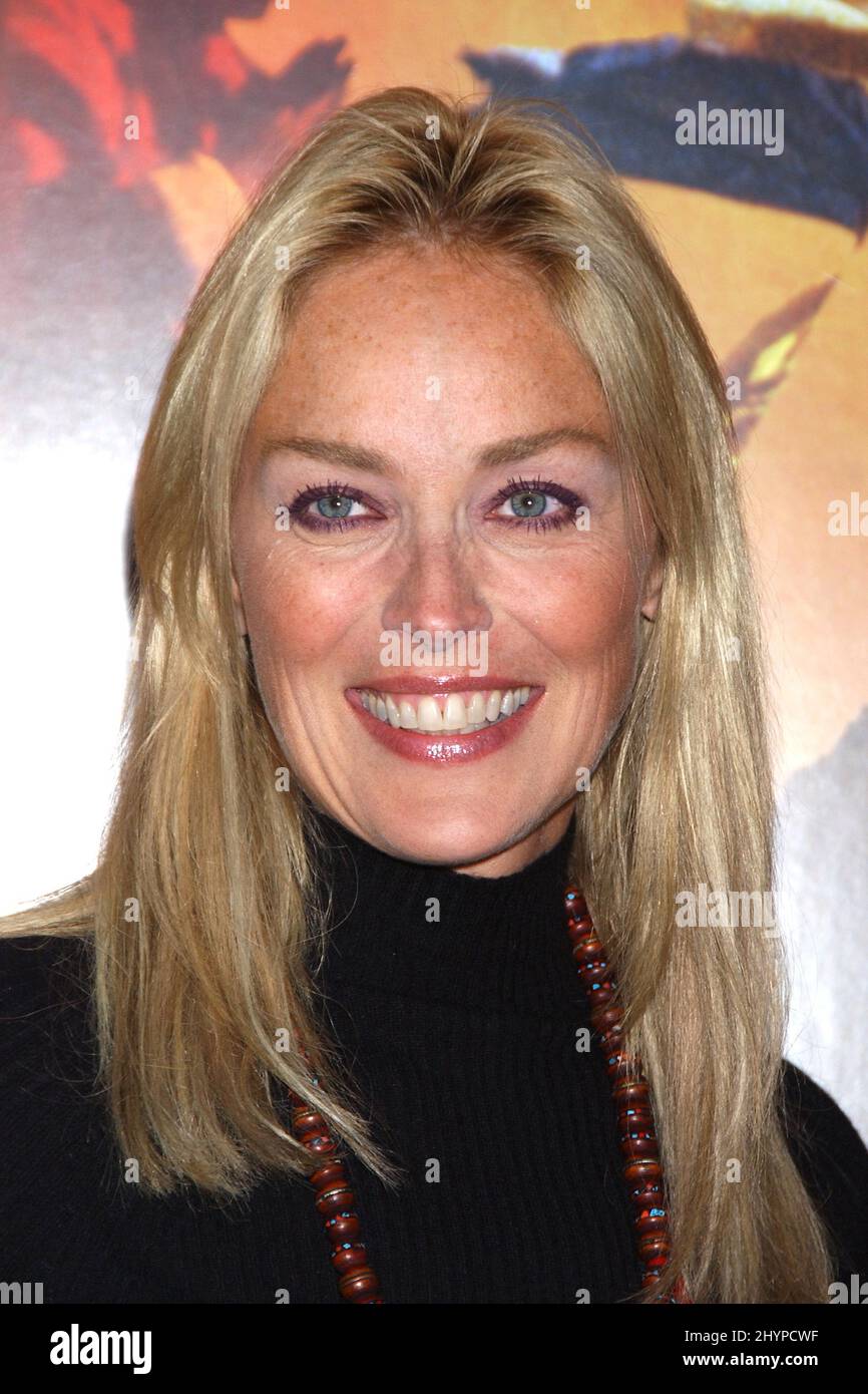 Sharon Fanning's Instagram, Twitter & Facebook on IDCrawl