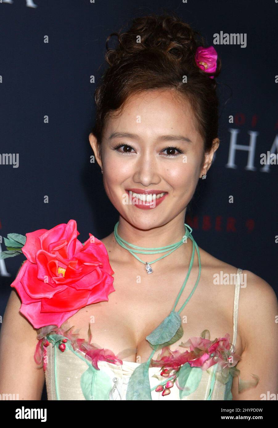 Youki Kudoh attends the Memoirs of a Geisha' Los Angeles Premiere. Picture: UK Press Stock Photo ...