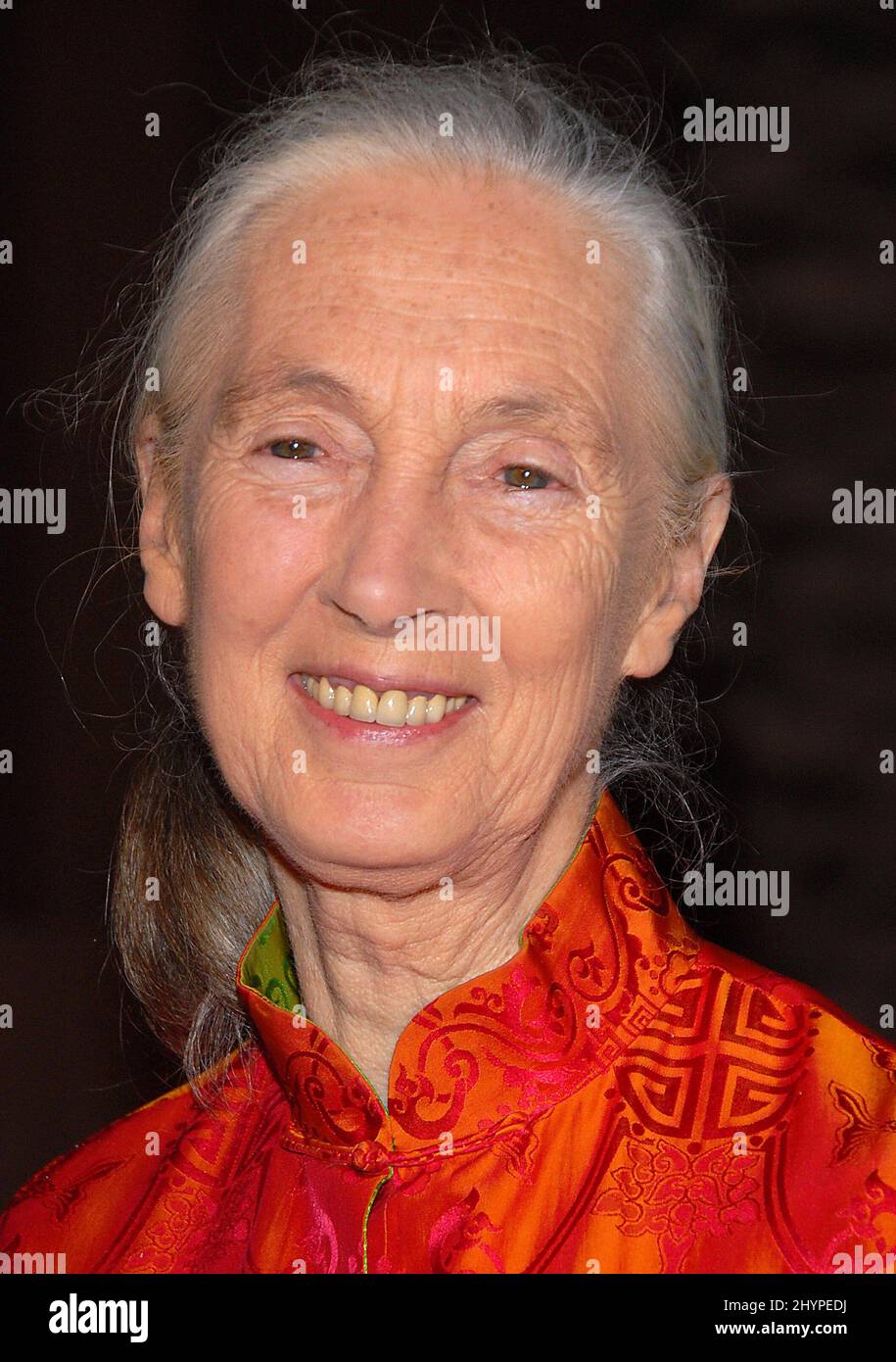 Jules verne festival hi-res stock photography and images - Alamy