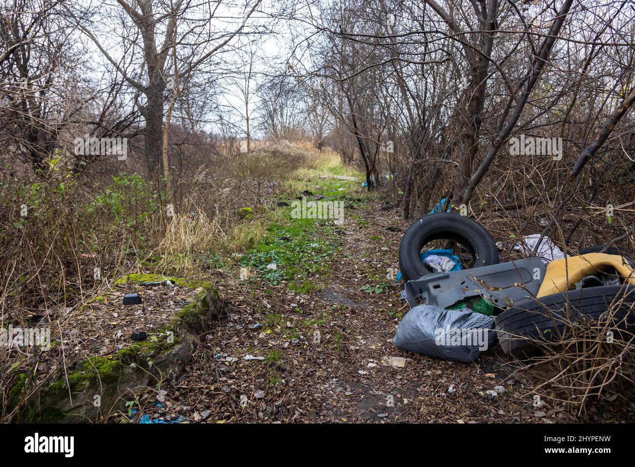 Illegal garbage dump in the forest. Rubbish in the forest. Picture ...