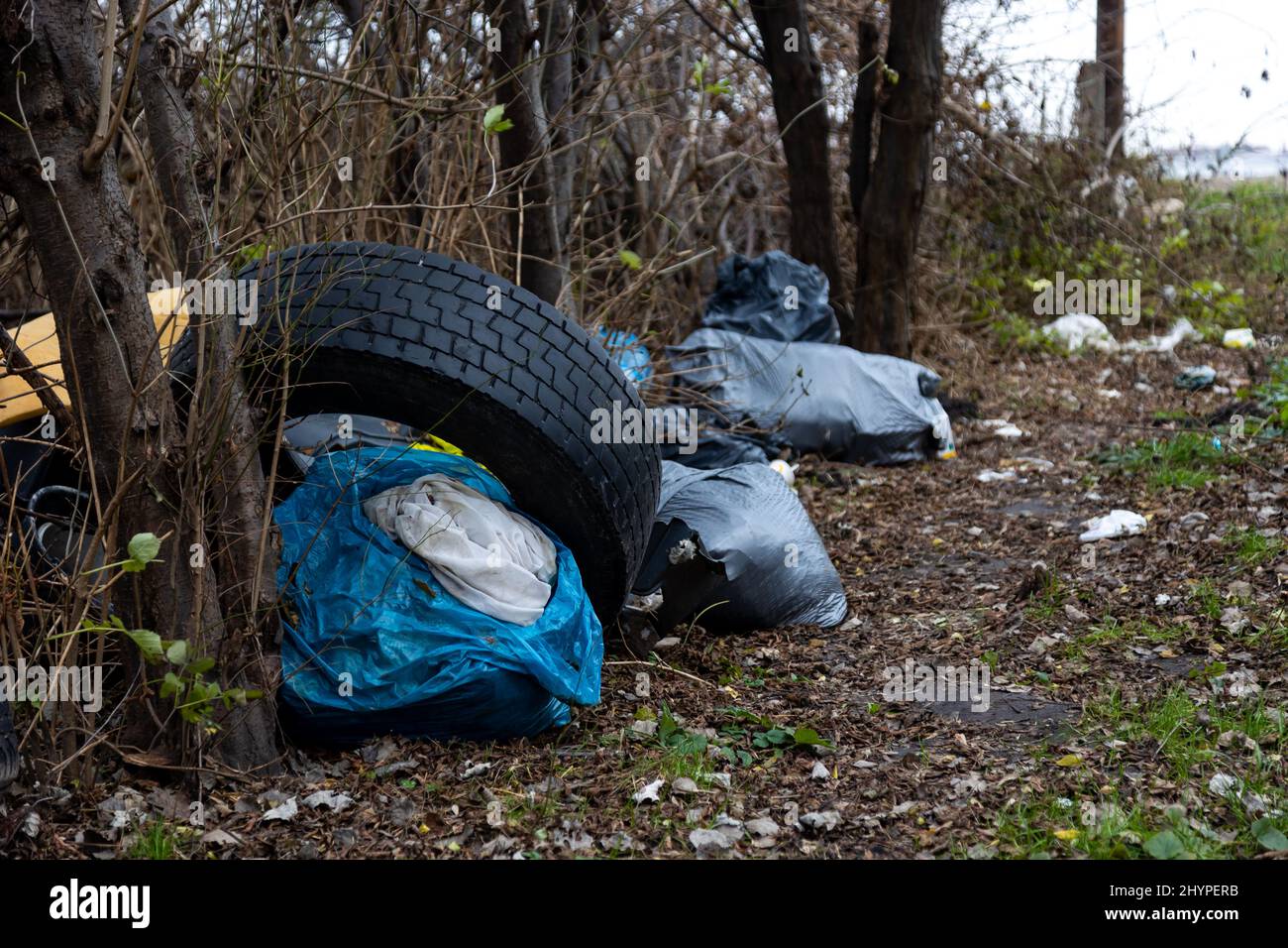 Illegal garbage dump in the forest. Rubbish in the forest. Picture ...