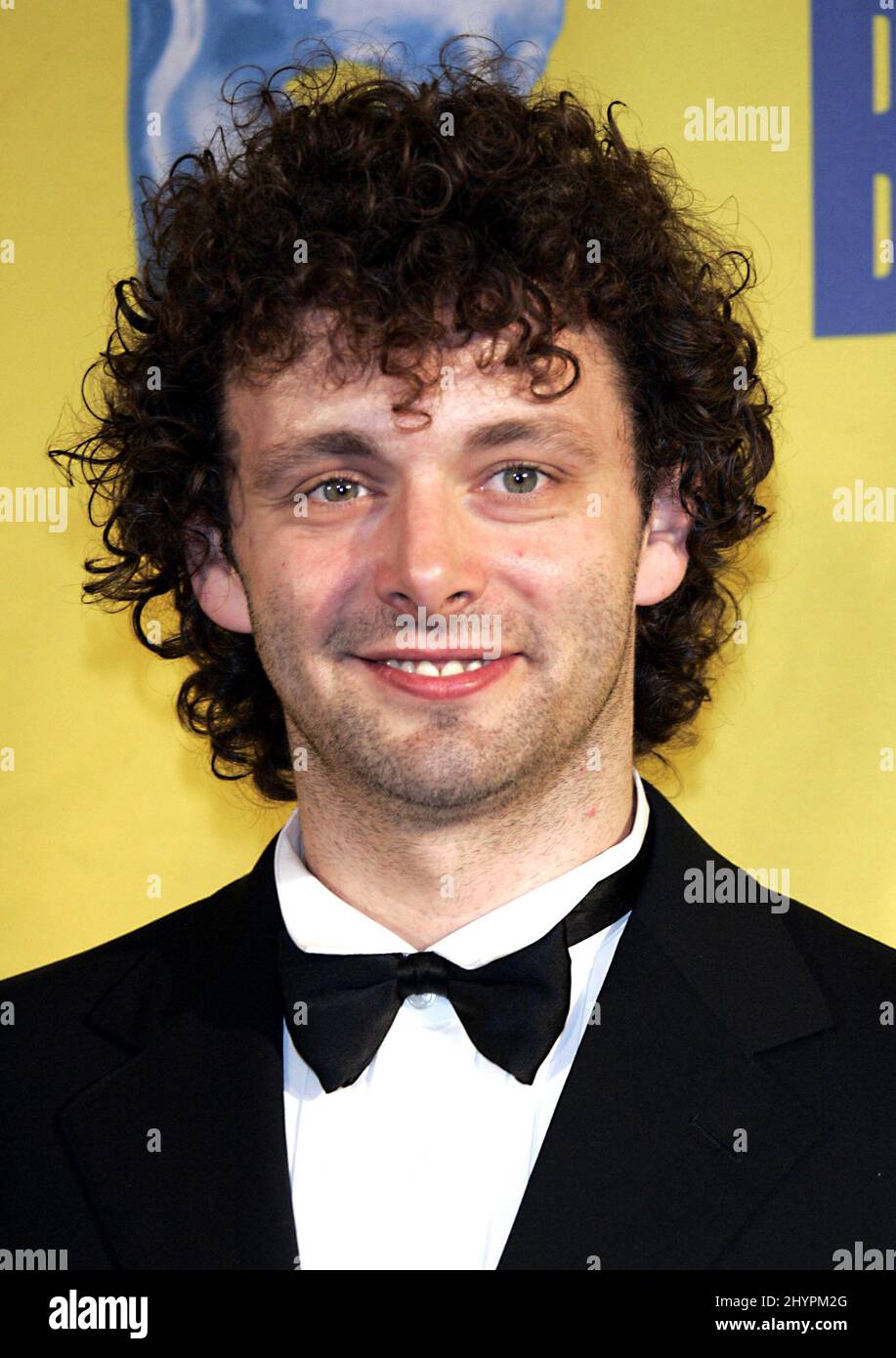 Michael Sheen attends the 13th Annual BAFTA/LA Britannia Awards in ...