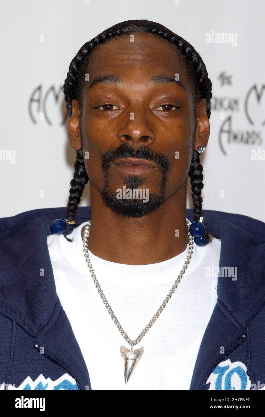 Snoop Dogg Cornrows