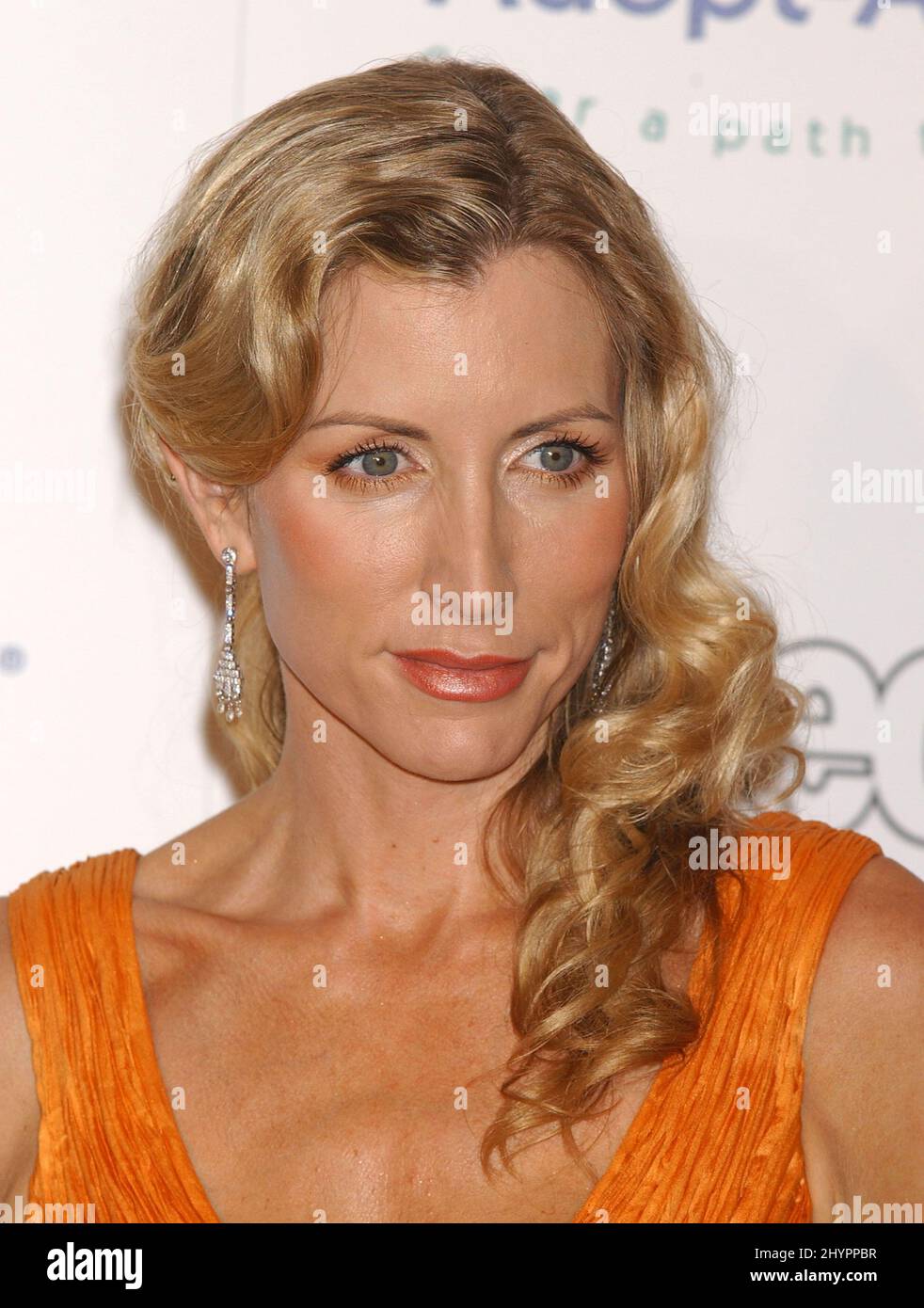 Heather Mills McCartney attends the Fifth Annual Adopt-A-Minefield Gala ...