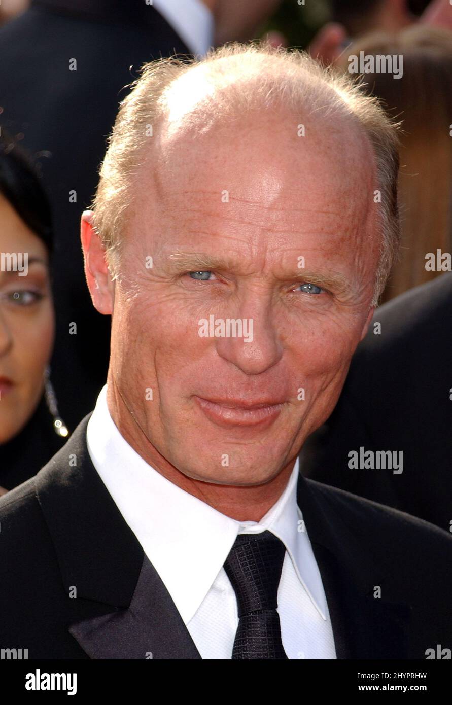 Ed Harris attends the 57th Annual Primetime EMMY Awards at the Shrine ...