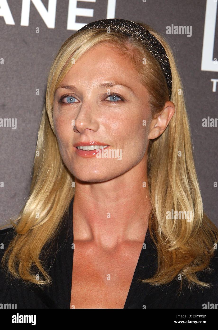 Joely Richardson attends the 12th Annual Premiere Women In Hollywood at ...