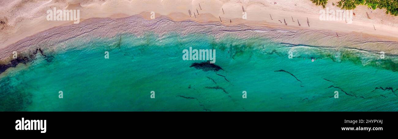 Overhead panoramic view of beautiful tropical beach with trees and ...