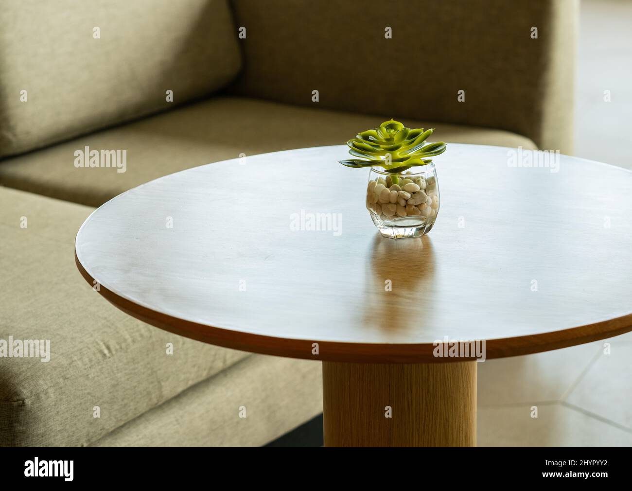 Beautiful small glass pot and pant on wooden round-shape desk with ...