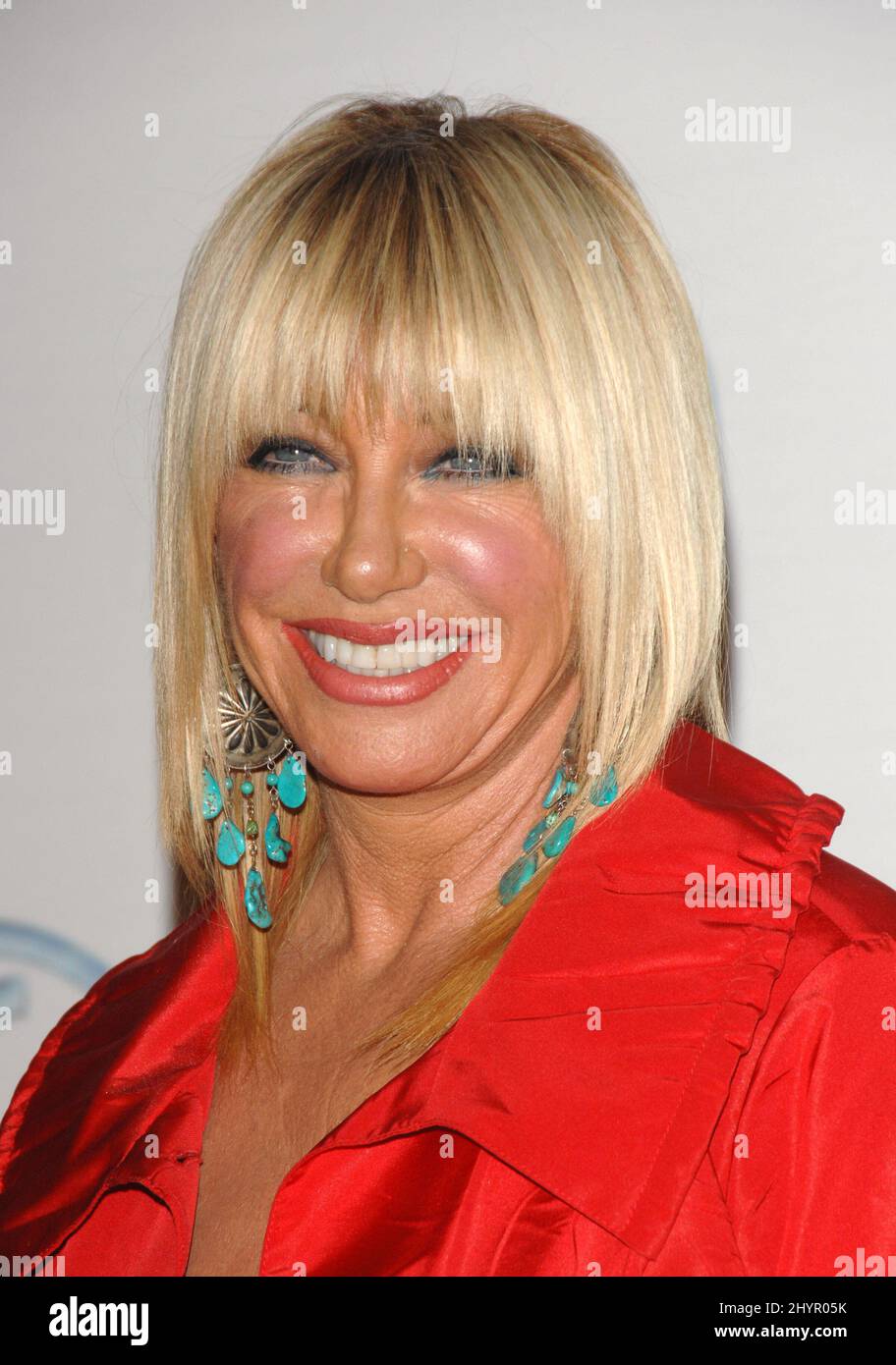 Suzanne somers attends 2007 producers guild awards picture hi-res stock ...