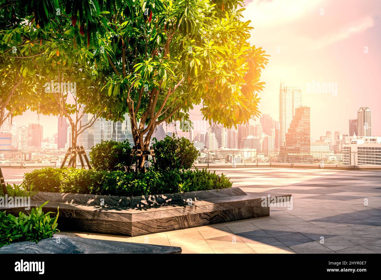 Beautiful big tree and plants on the rooftop of a modern building in ...