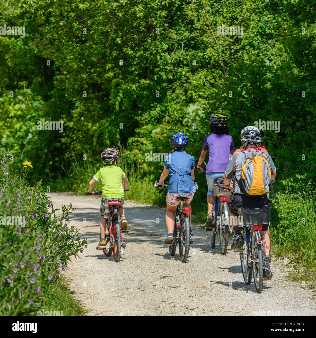 Mother with kids doing a cycling tour in beautiful nature in southern ...