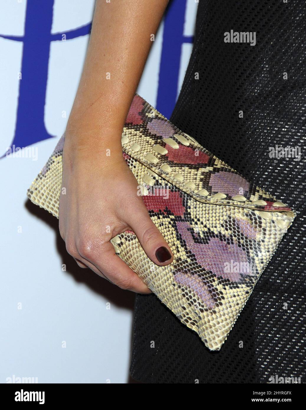 Amanda Bynes attends the premiere of 'Penelope' at the Directors Guild ...