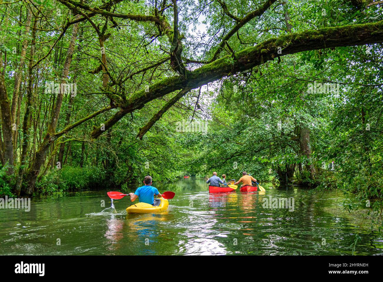 Several people making canoe tour on idyllic river called Pegnitz in ...