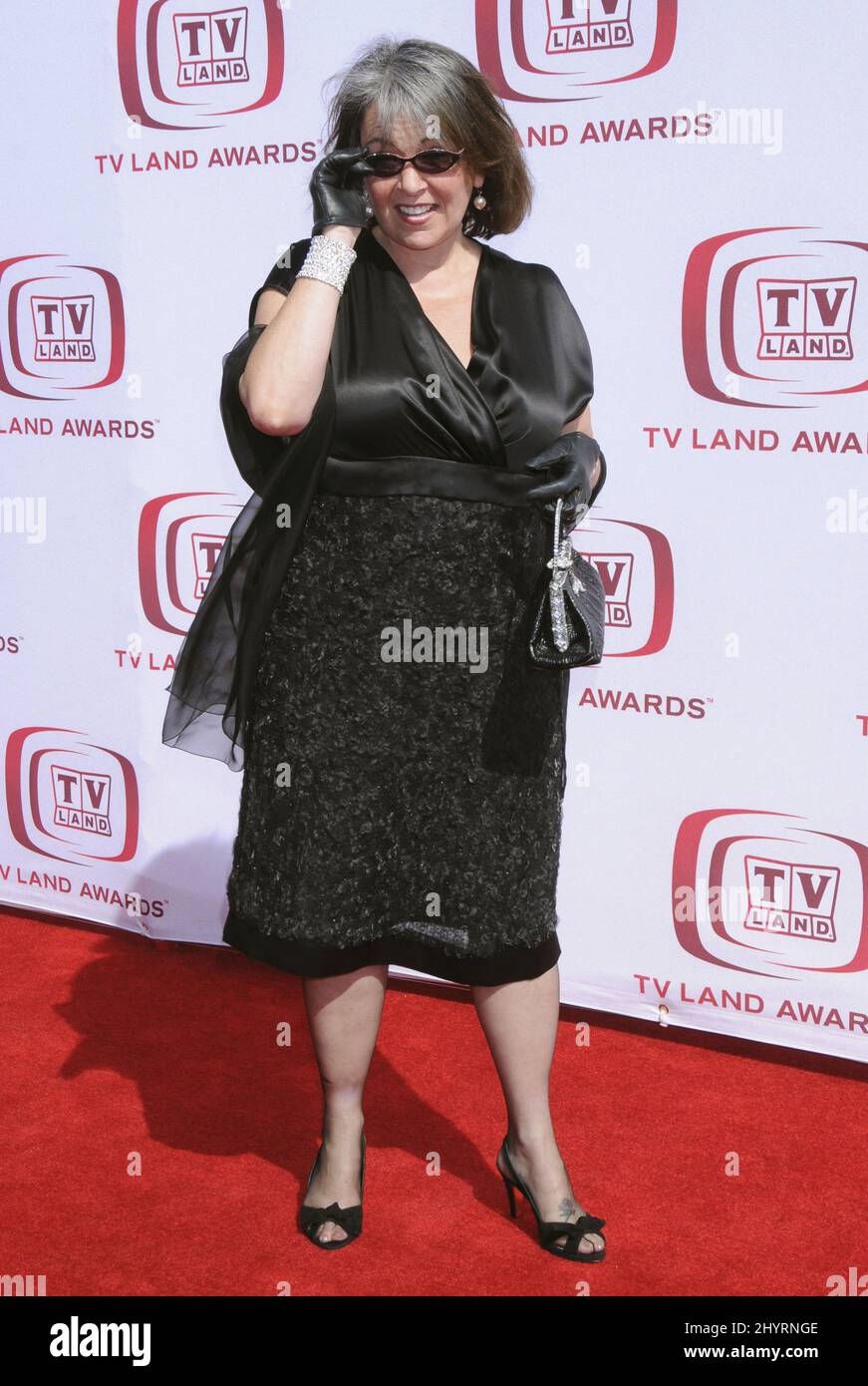 Roseanne Barr attending the The 6th Annual "TV Land Awards", Santa ...