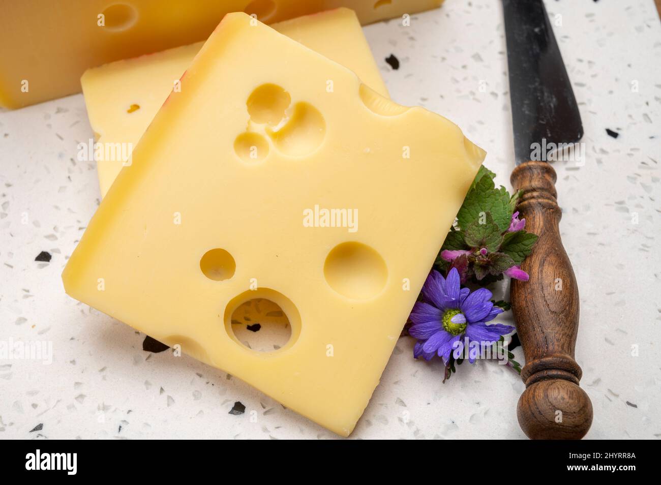 Swiss cheese collection, yellow emmentaler or emmental cheese with ...