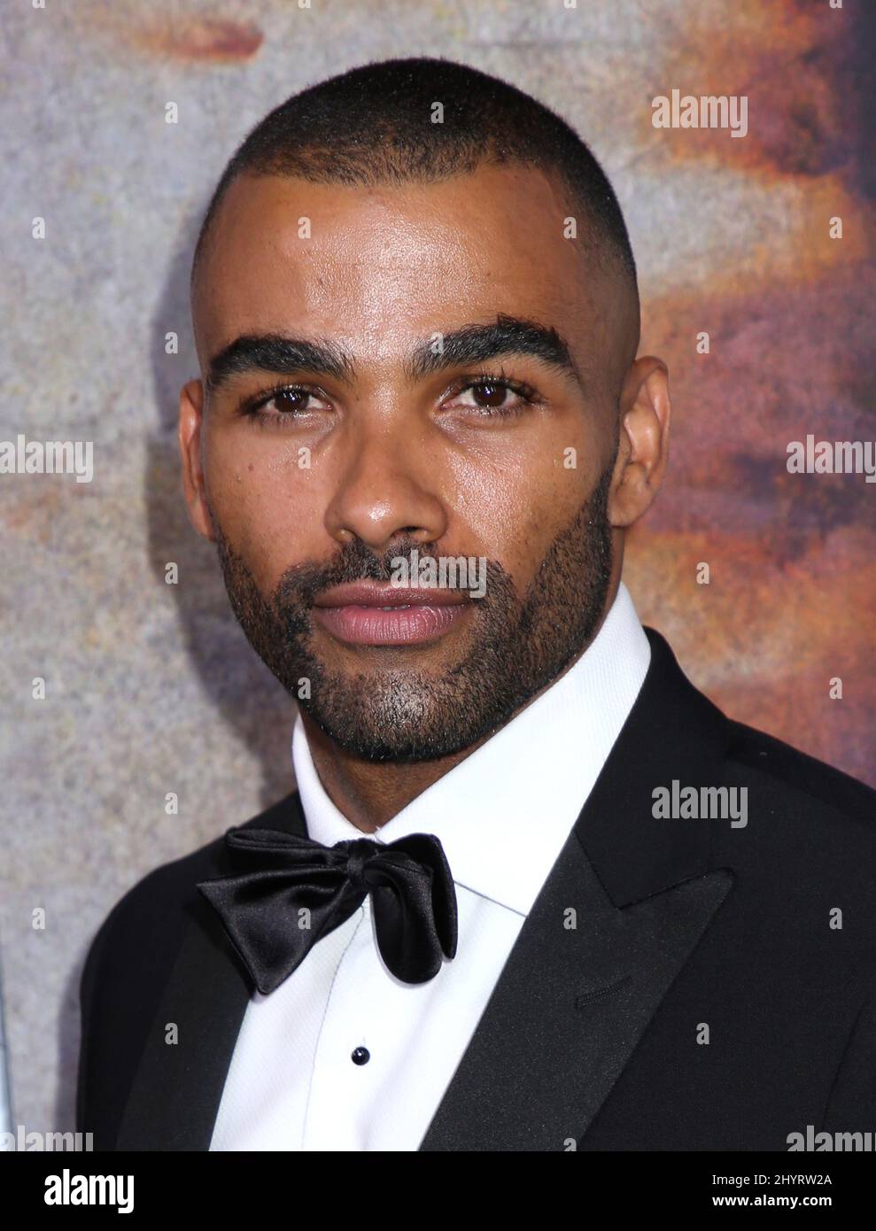 Toby sandeman hi-res stock photography and images - Alamy